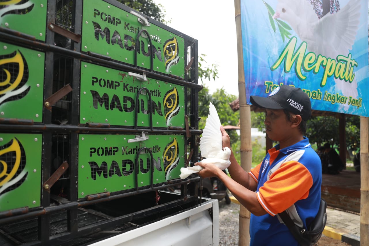 Lebih Dekat dengan POMSI, Rumah Bagi Para Penghobi Burung Penghantar ...