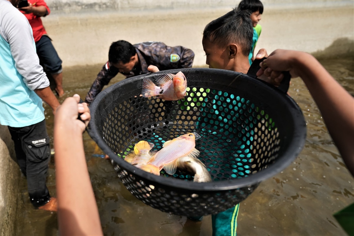 Tingkat Konsumsi Ikan di Kota Madiun Capai 42,58 Kg/kapita/tahun, Terus ...